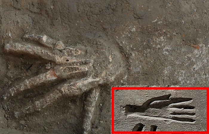 Mysterious Ancient Egyptian Severed Hands Practice Investigated By ...