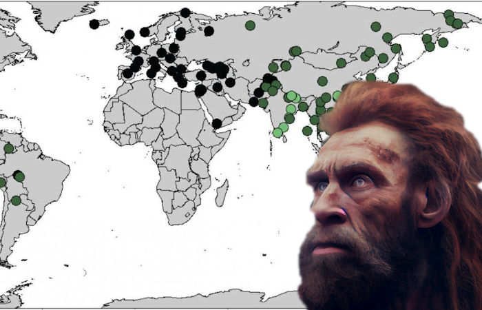 Neanderthal Dna Map