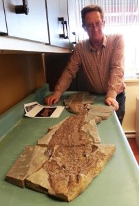 Extraordinary Fossil Evidence Human Hand Evolved From Fish Fins ...