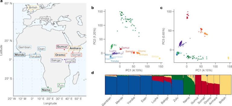 Different Approach Gives New Understanding Of Human Evolution In Africa ...