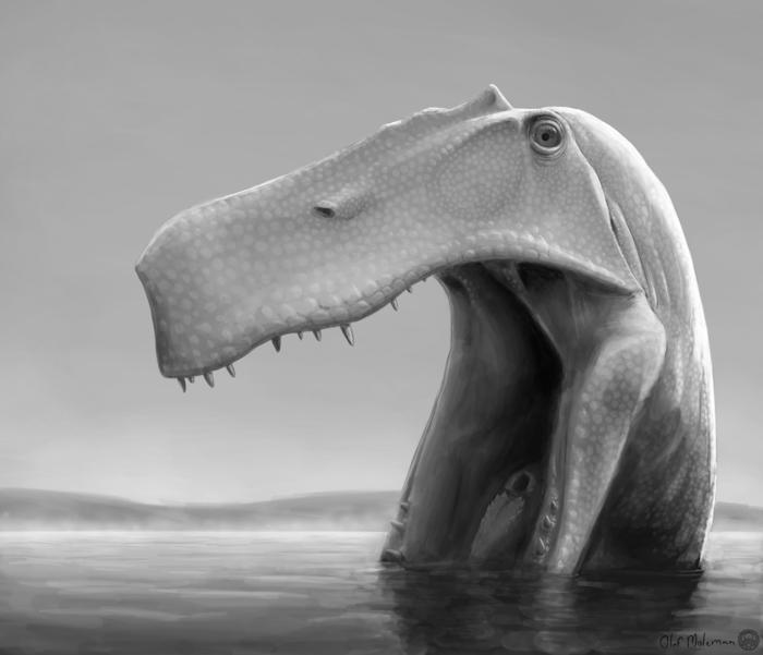 Predatory Dinosaur Irritator From Brazil Had Surprising Anatomy ...