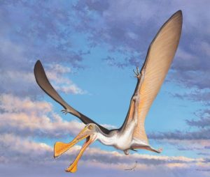 Study Finds 107-Million-Year-Old Pterosaur Bones Are Oldest In ...