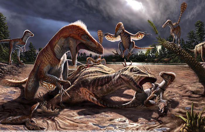 Evidence Utahraptor, World's Largest Raptor Lived Millions Of Years ...