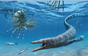 Discovery Of Ancient Marine Reptile Fossil – New Evolutionary Insight ...