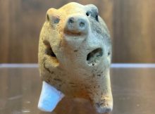 Unique Pig-Shaped Figurine Found In East China Was Probably A Child's ...