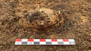 Amazing Artifacts Found In Viking Double Grave In Norwegian Garden ...