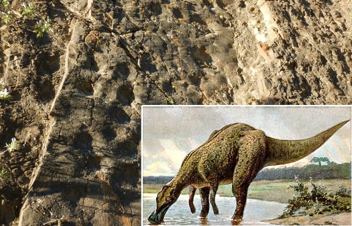 Largest Known Single Dinosaur Track Site In Alaska Discovered And ...
