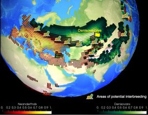 When And Where Early Human Species Interbred Was Determined By Shifts ...