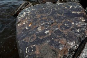 Drought Reveals 2,000-Year-Old Rock Carvings In Brazil's Amazon ...