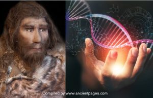 Neanderthals Inherited At Least 6% Of Their Genome From A Now-Extinct Lineage Of Early Modern ...