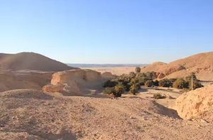 New Path For Early Human Migrations Contradicts A Single 'Out Of Africa ...