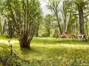 Europe Was Not Covered By Dense Forest Before The Arrival Of Modern ...