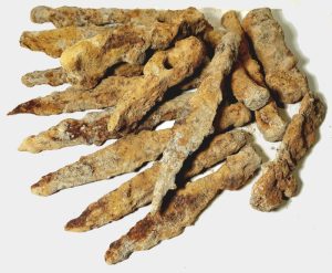 Weapons Left By Barbarian Tribes Discovered In Polish Forest - Ancient ...