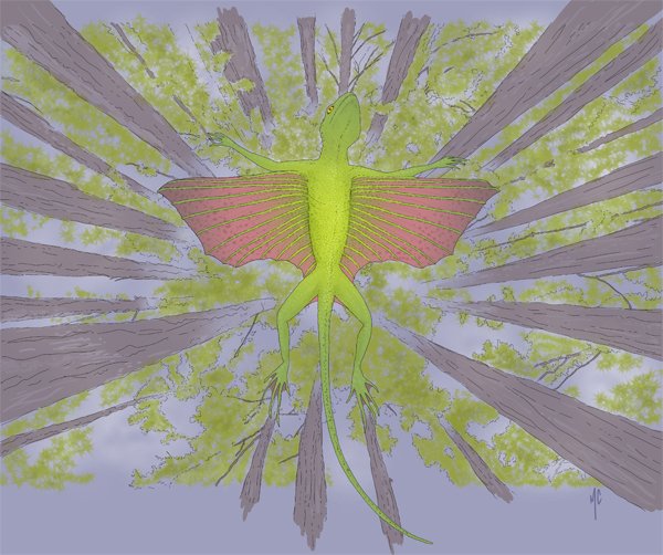 200-Million-Year-Old Flying Reptile Kuehneosaurus Discovered In ...