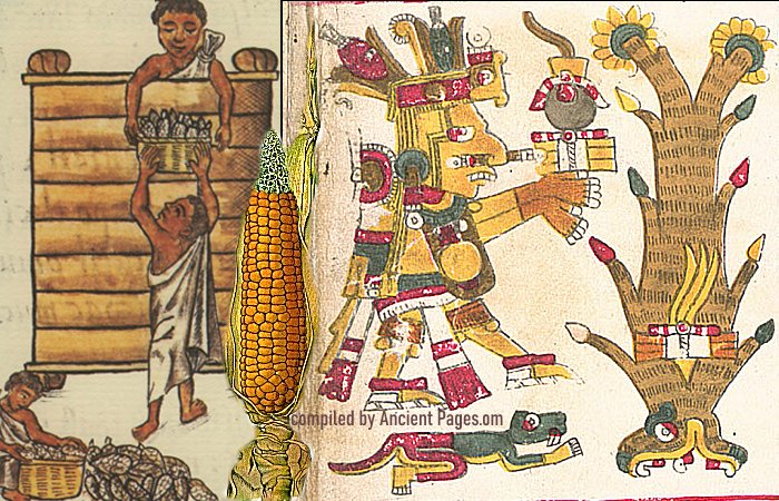 Centeotl: Lord Of Maize Who Was Revered Before The Olmecs By All ...
