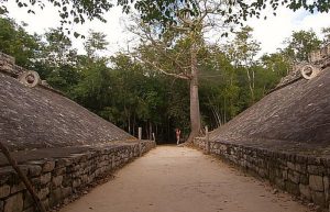 Ancient Maya Ballcourts And Evidence Of Ceremonial Plant Species ...