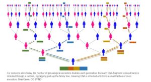 DNA Says You're Related To A Viking, A Medieval German Jew Or A 1700s ...