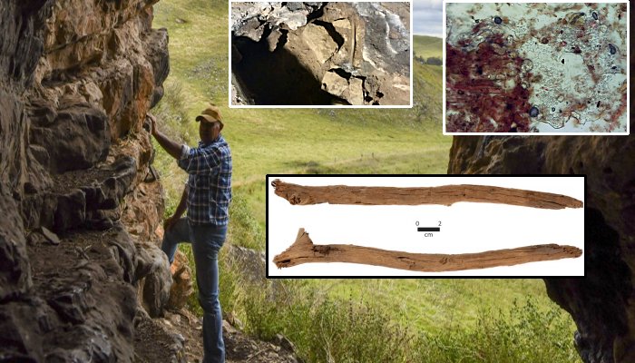 Oldest Living Culture: Research Reveals Indigenous Ritual Spanning 500 ...