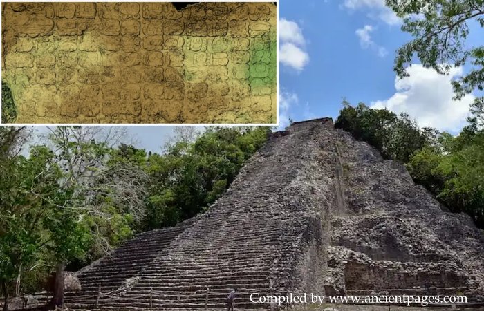 Huge Maya Stone Panel With 123 Glyphs Found Near Nohoch Muul Pyramid ...