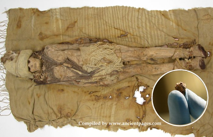 Mysterious White Mass On The Heads Of The Tarim Basin Mummies ...