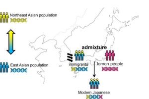 Yayoi People (Korea) Interbred With Jomon People (Japan) Giving Birth ...