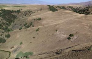 Large, High-Elevation Cities Along Asia’s Silk Roads Exposed By High ...