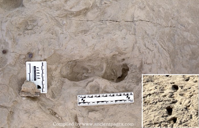 1.5-Million-Year-Old Footprints Of Two Different Species Of Human ...