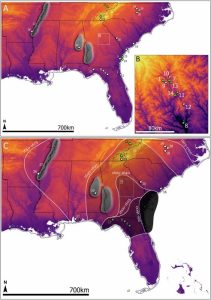 Peaches Spread Across North America Through The Resourceful Networks Of ...