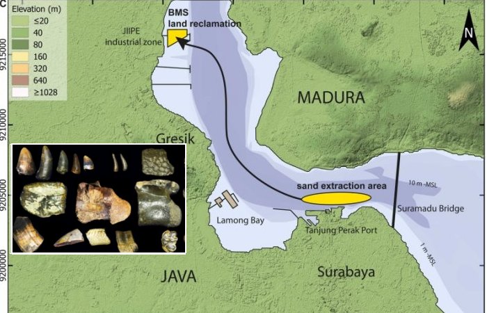 Fossilized Remains Of Homo Erectus Found On Submerged Sundaland, Java ...