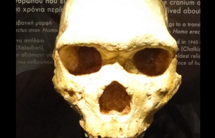 Enigma Of Skull From Petralona Cave In Greece Is Solved And Changes The ...