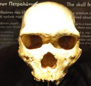 Enigma Of Skull From Petralona Cave In Greece Is Solved And Changes The ...